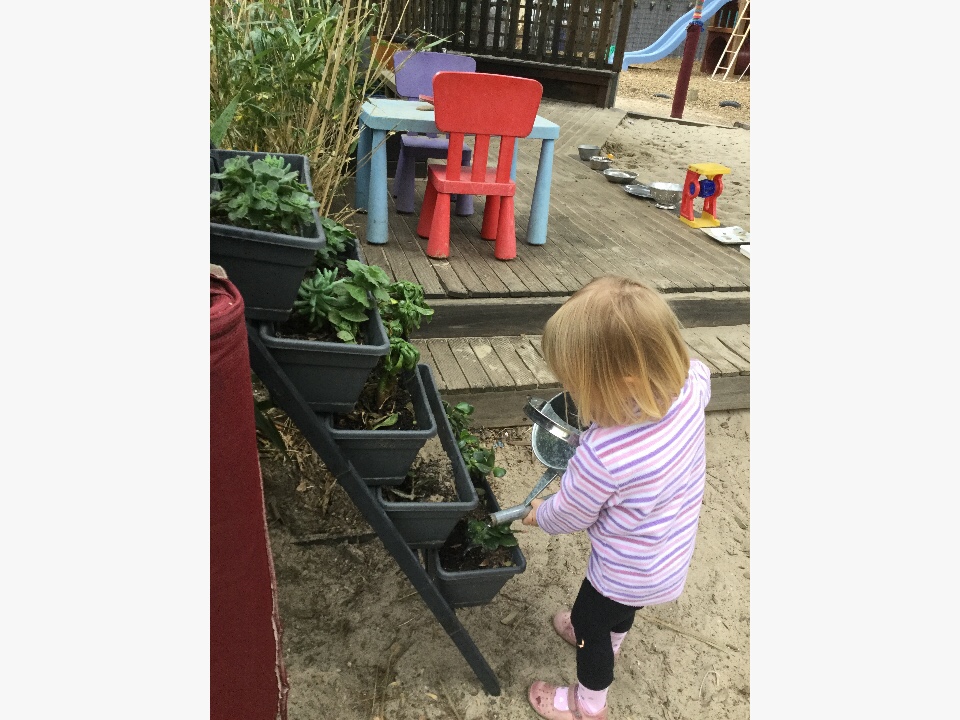 Dawson Street Child Care Co-op | Stephanie Alexander Kitchen Garden Program